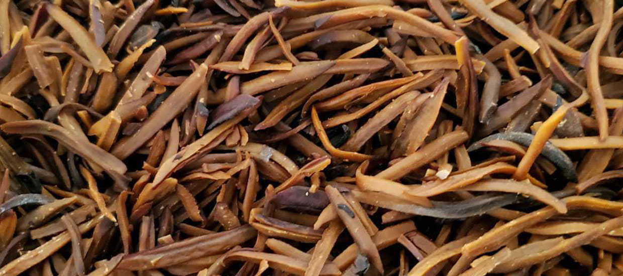 Cascade Foods Import