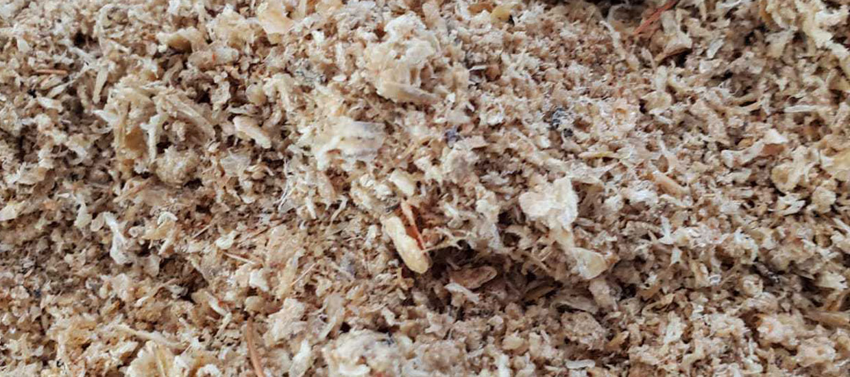 Cascade Foods Import